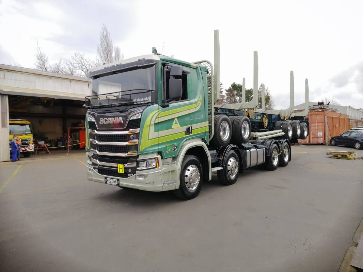 Showcase • Mills Tui